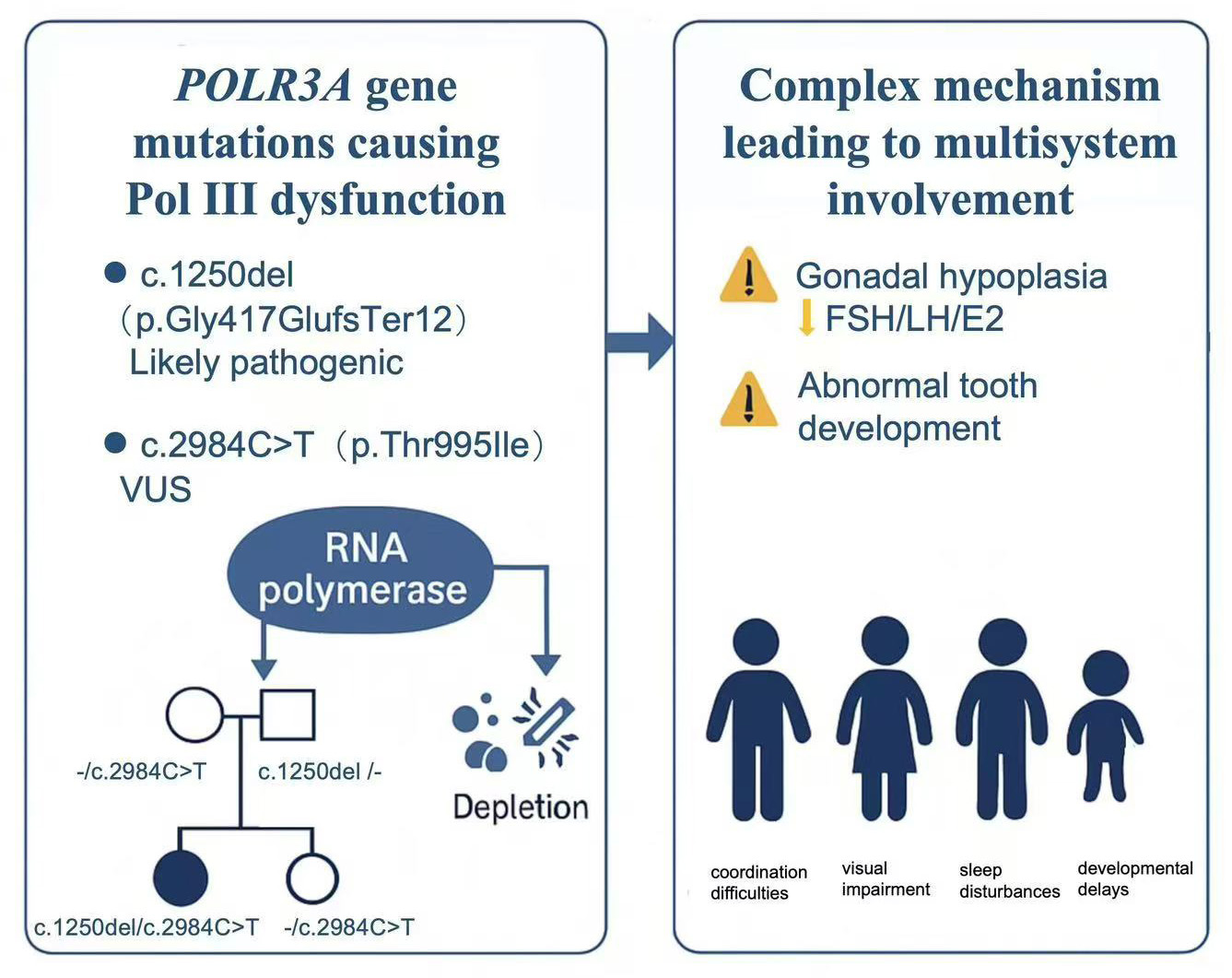 De Novo Mutation of POLR3A Associated with 4H Leukodystrophy Syndrome: A Case Report